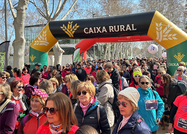 Tendencias, competència, conexión, credibilidad, empresa, marca ...
